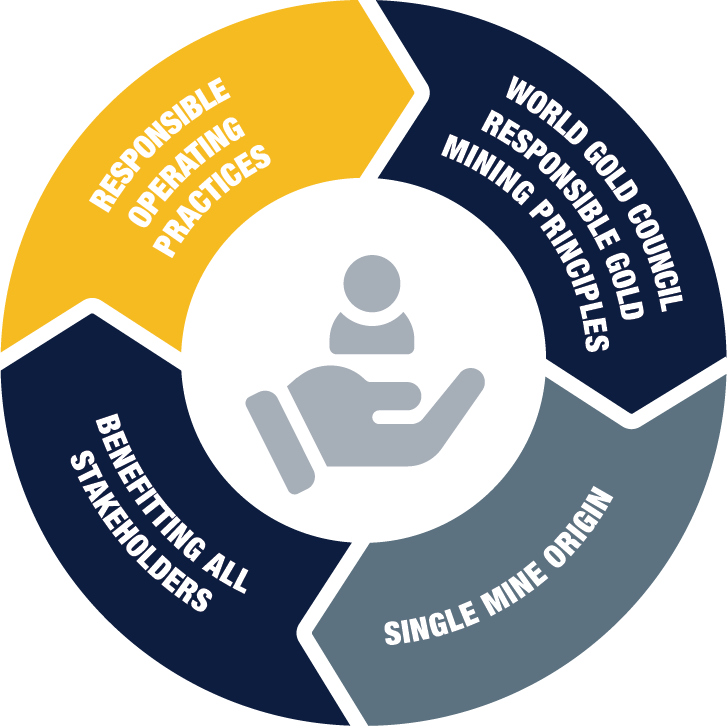 Strategy - Hummingbird Resources Plc